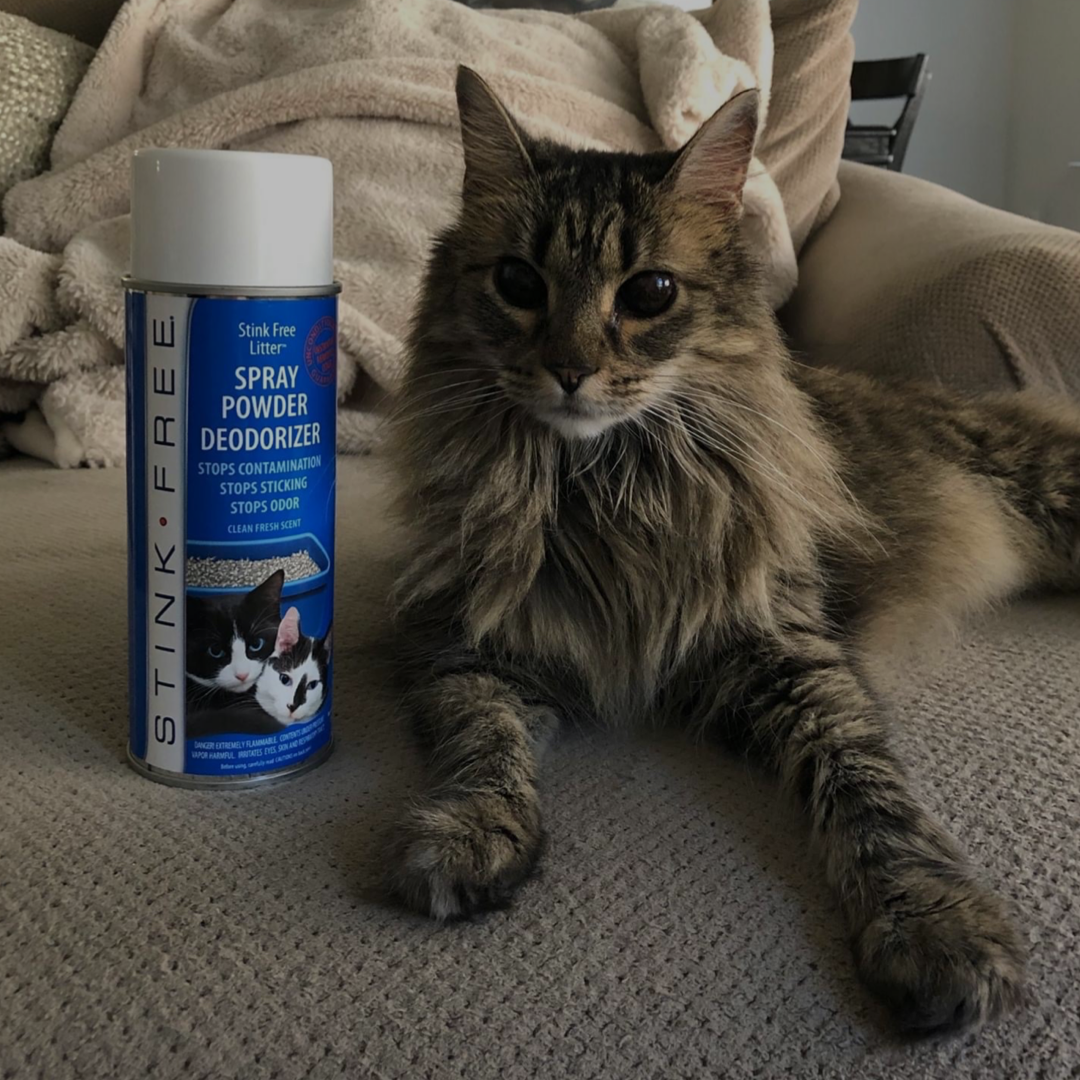 Litter Box Odor Control Products & Accessories – Stink Free