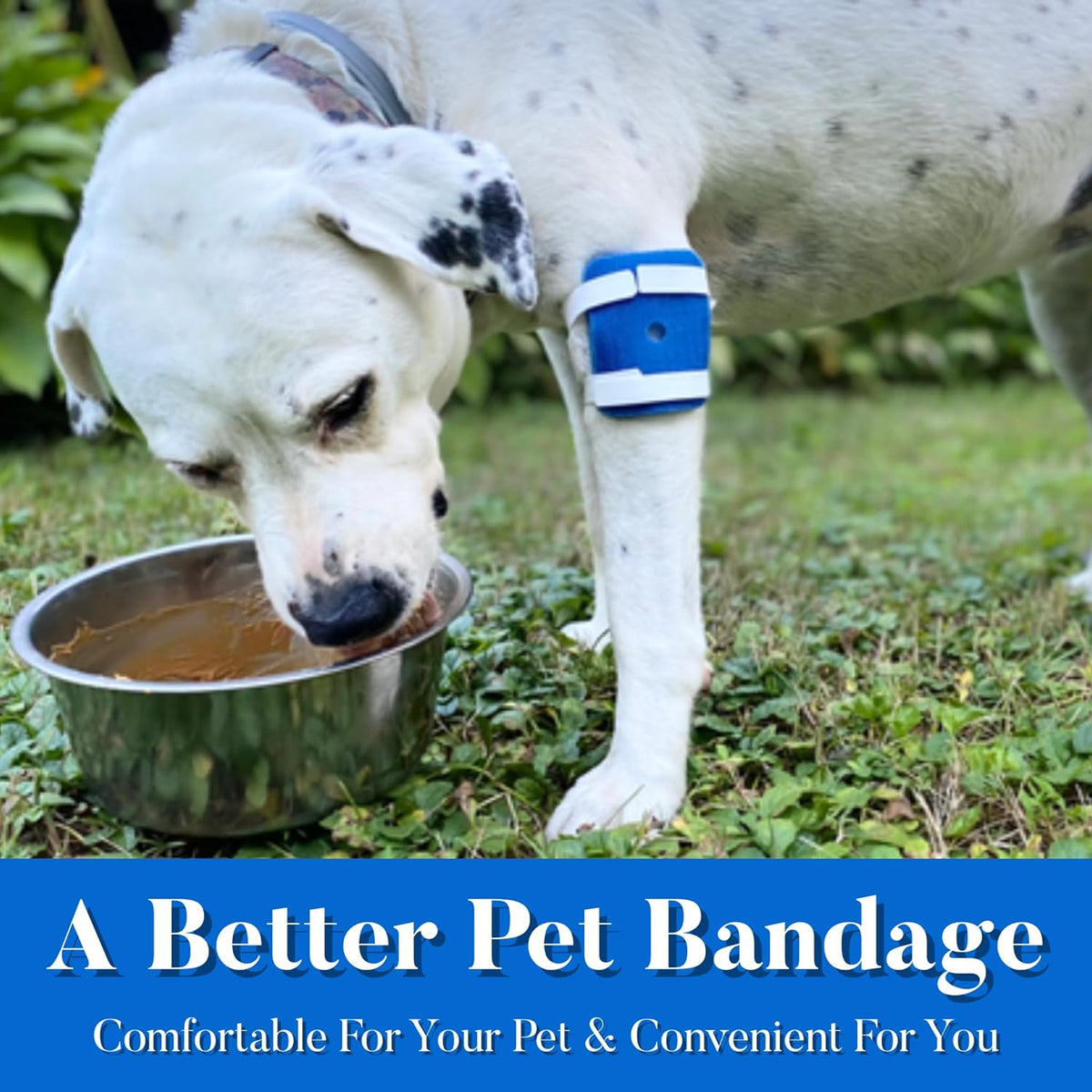 Proud Pet Patches A Better Dog Bandage for Wound Care, Cone Collar Alt ...